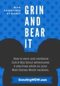 Bear Adventure: Grin and Bear It - Scouting WDW | Scouts + Disney
